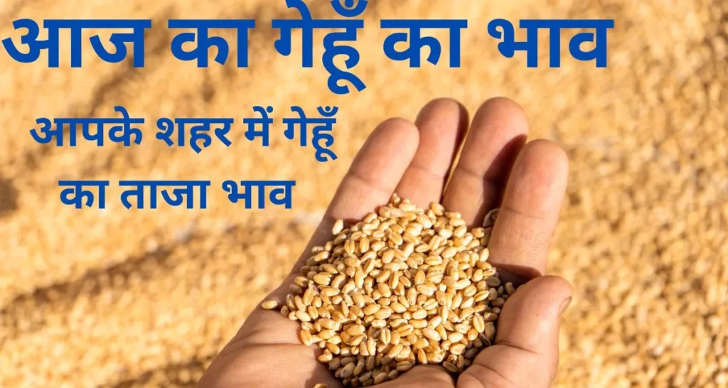 Gehu Ka Rate | गेहूँ रेट | Wheat Rate Today 2025 - Fasal Sahayata: Know ...